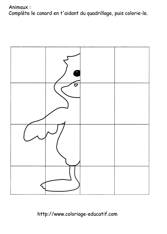 Coloriage educatif - Vocabulaire/le canard